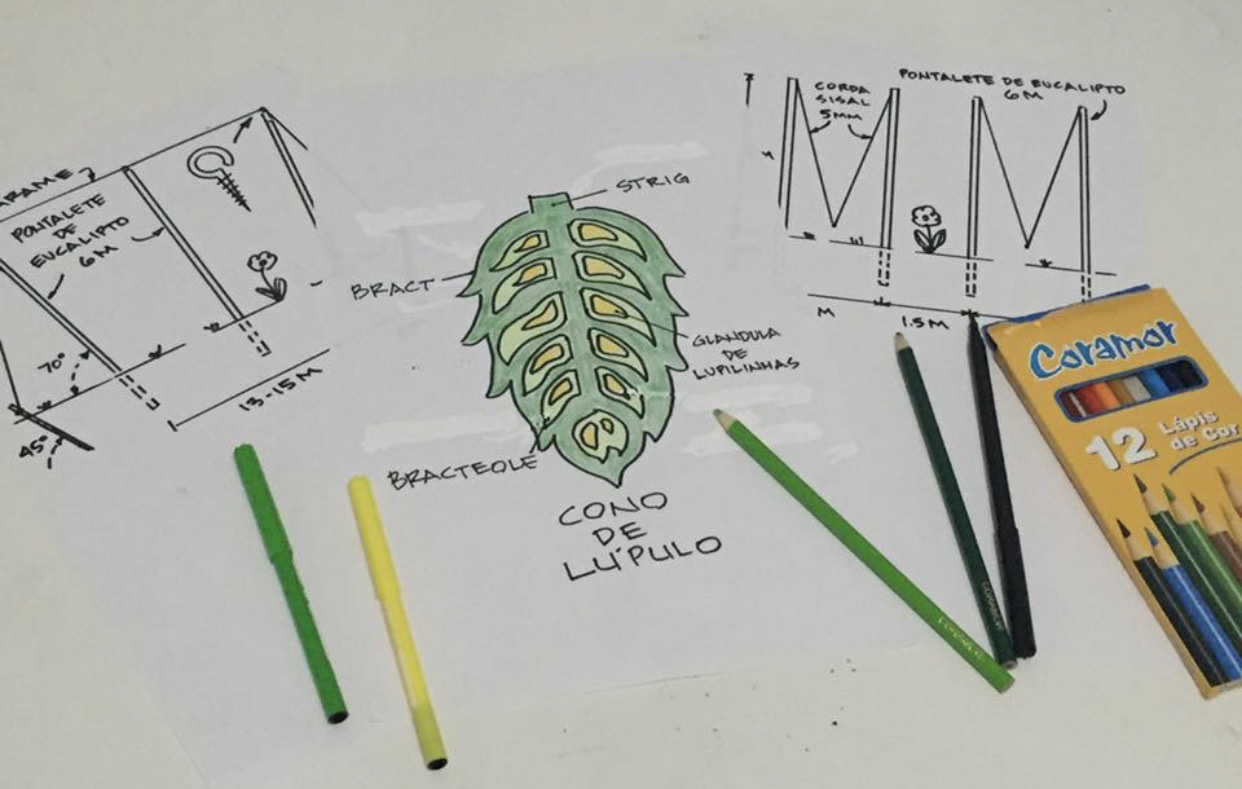 Hops Brasil
