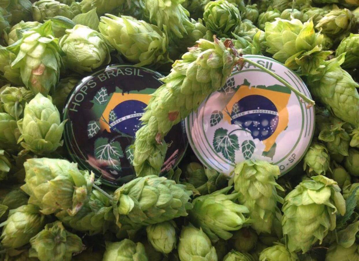 Hops Brasil